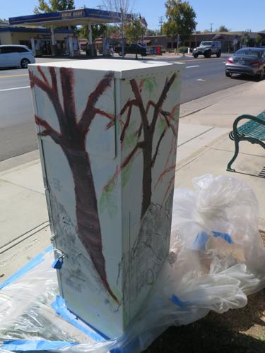TVAA embarks on Mini Murals Project to enhance downtown | News ...