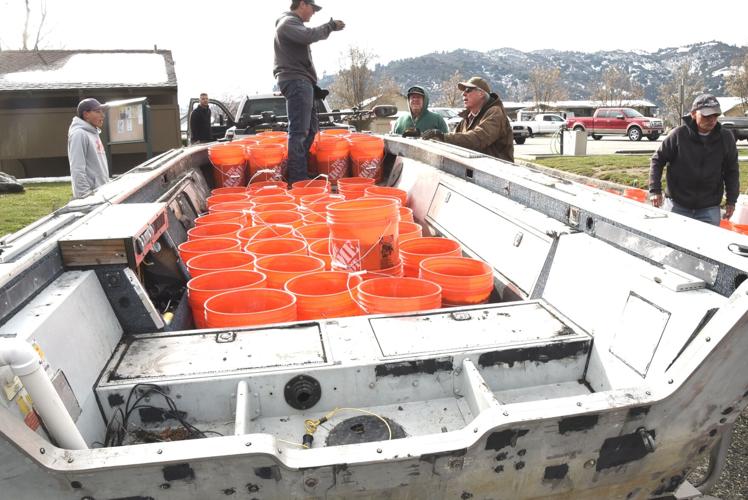 PHOTO GALLERY: Volunteers help the fish at Four Island Lake in BVS ...