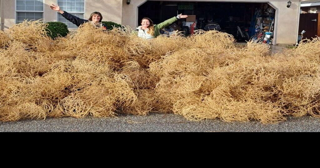 Pen in Hand: Drifting along with the tumbling tumbleweeds | Lifestyle | tehachapinews.com