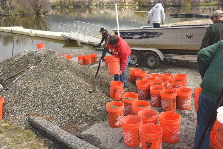 PHOTO GALLERY: Volunteers help the fish at Four Island Lake in BVS ...