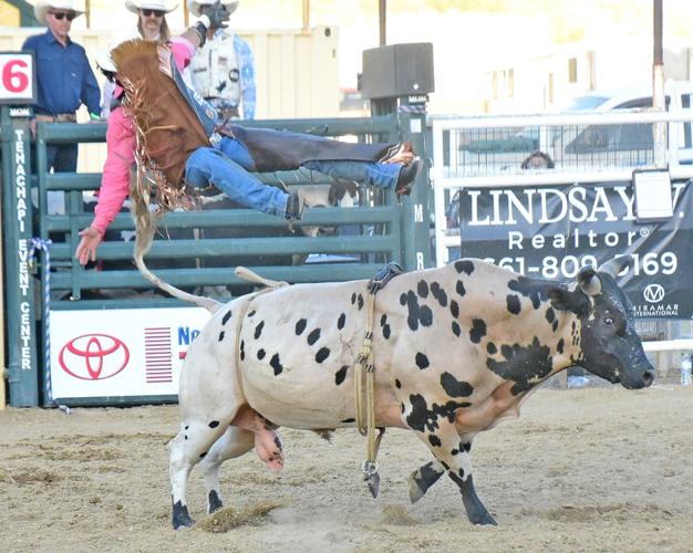 PHOTO GALLERY: Bring out the tough for the Benz Bad Bulls Rodeo ...