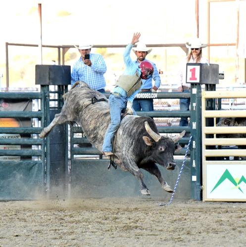 PHOTO GALLERY: Bring out the tough for the Benz Bad Bulls Rodeo ...