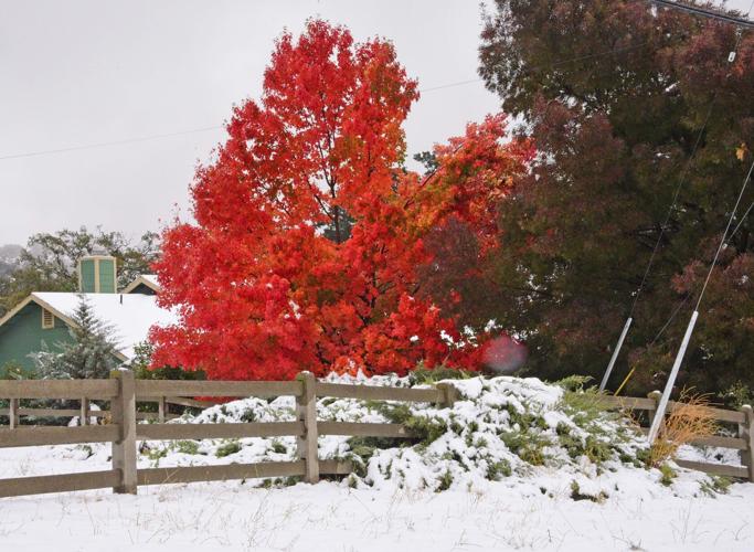 PHOTO GALLERY: Tehachapi sees first snow of season | News ...