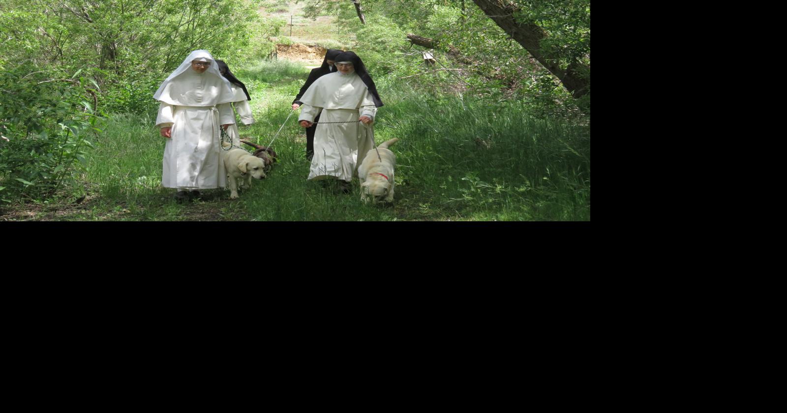 Visitor Guide: Norbertine Monastery and Bethany House offer silence ...