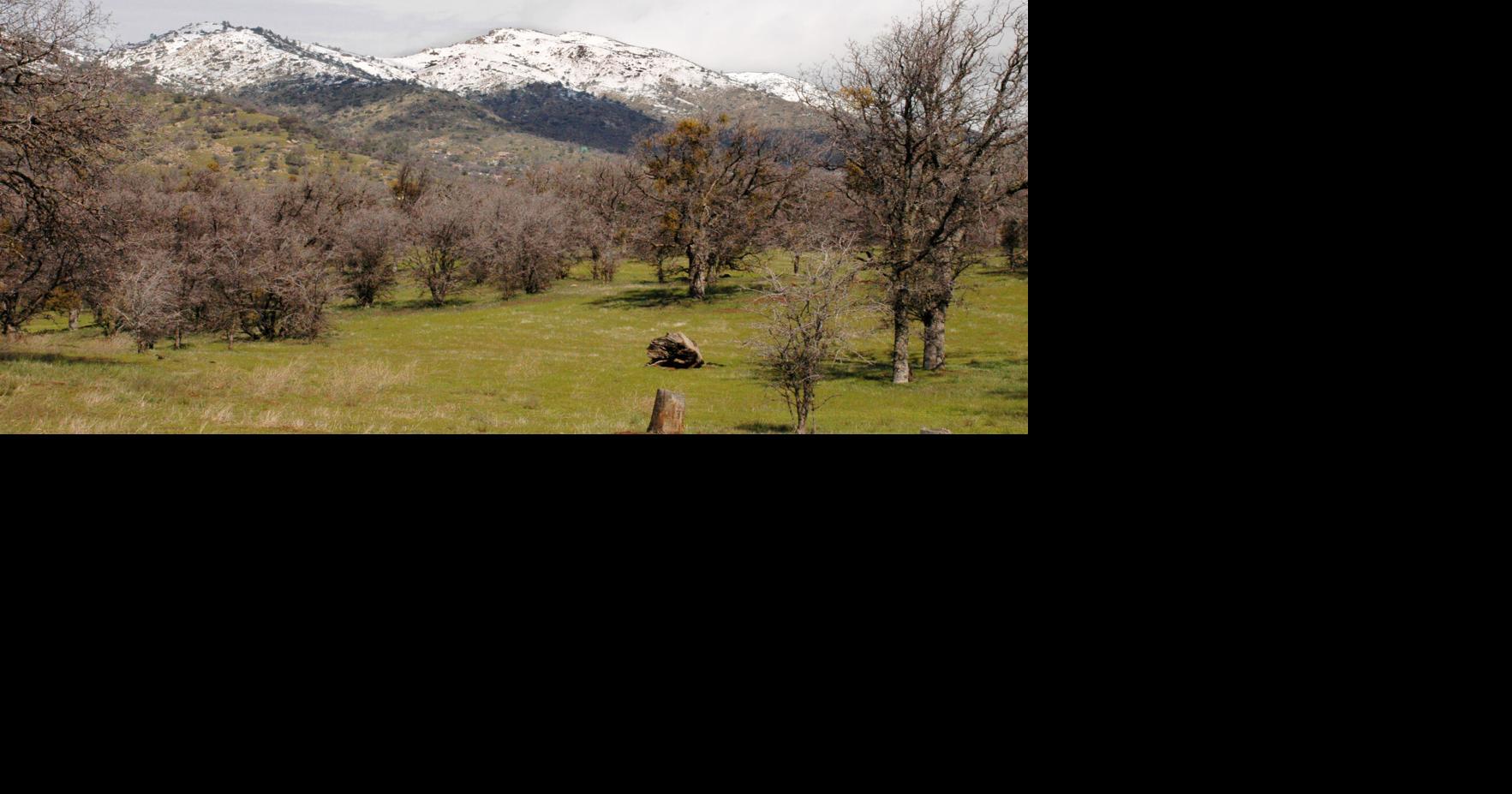 Natural Sightings: Snow on Togowakahni | Lifestyle | tehachapinews.com