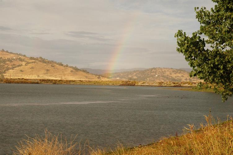 Pen in Hand: Brite Lake: celebrating 50 transformative years ...