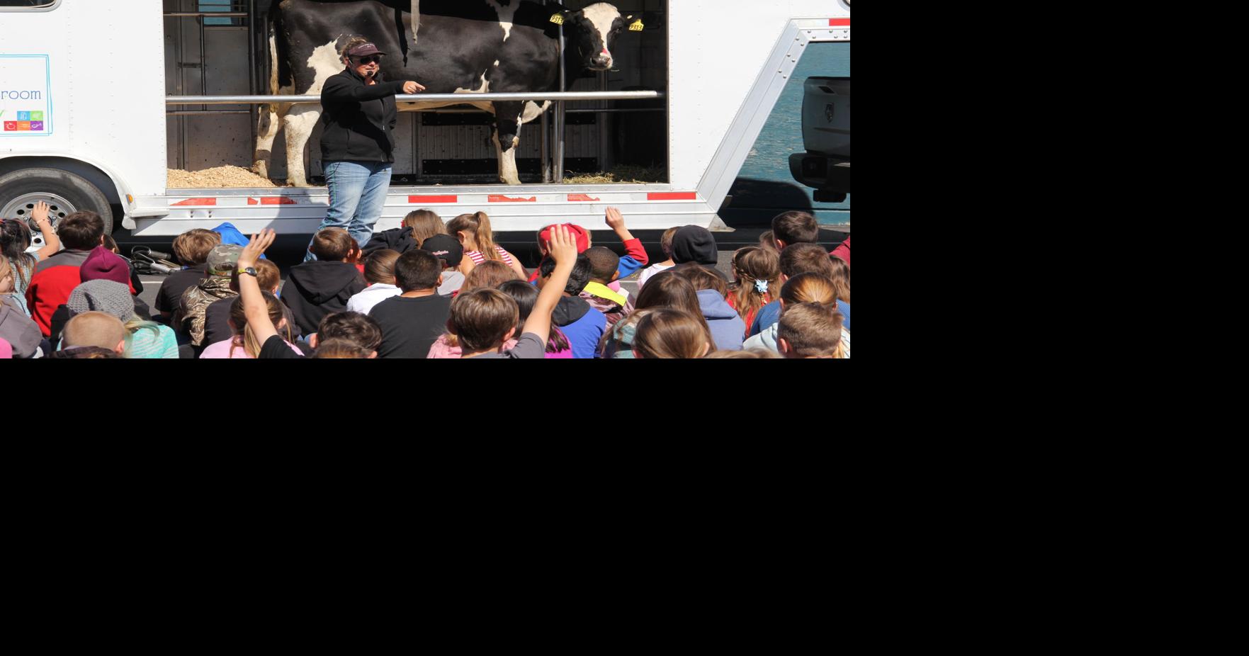 A cow at school? Daisy May visits students for a little dairy education ...