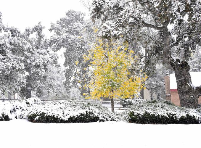 PHOTO GALLERY: Tehachapi sees first snow of season | News ...