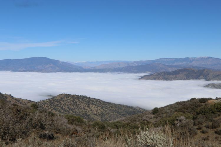 Pen in Hand: Tule fog creeps in | Lifestyle | tehachapinews.com