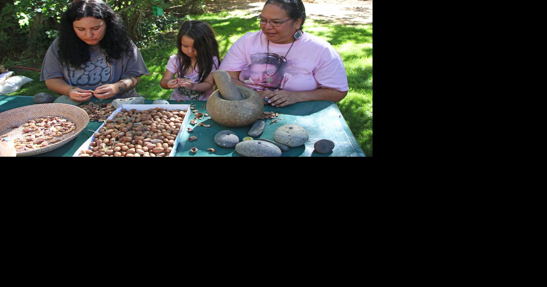 Pen in Hand: Processing acorns the ancient way | Lifestyle ...