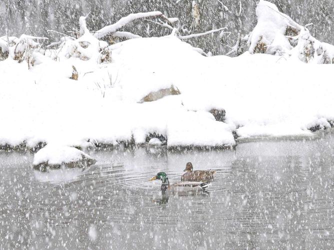 PHOTO GALLERY: Tehachapi sees first snow of season | News ...