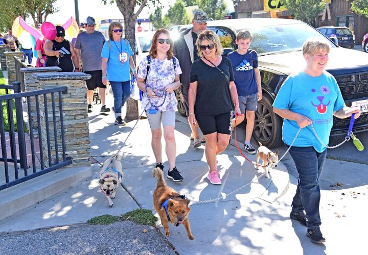 PHOTO GALLERY: Bark For Life: A canine event to help fight cancer ...