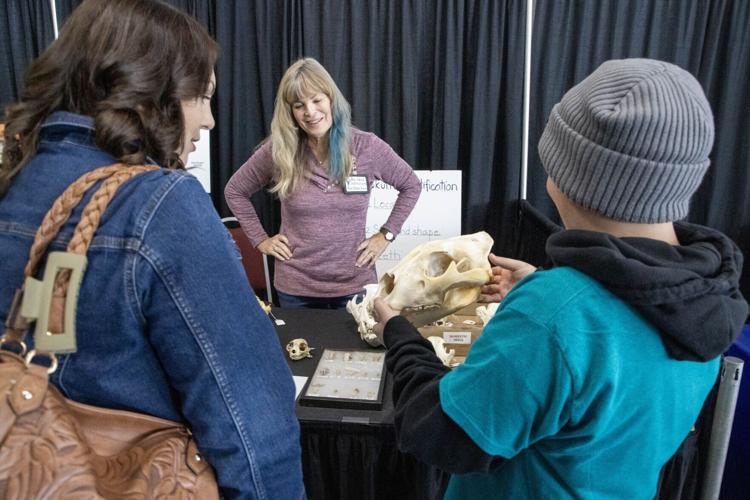 Biologist uses animal skulls to teach kids about life in the wild ...