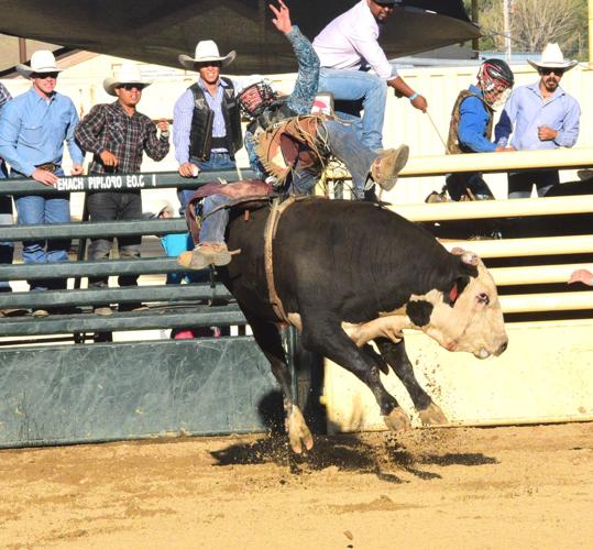PHOTO GALLERY: Benz Bad Bulls take to the rodeo grounds for July 4th ...
