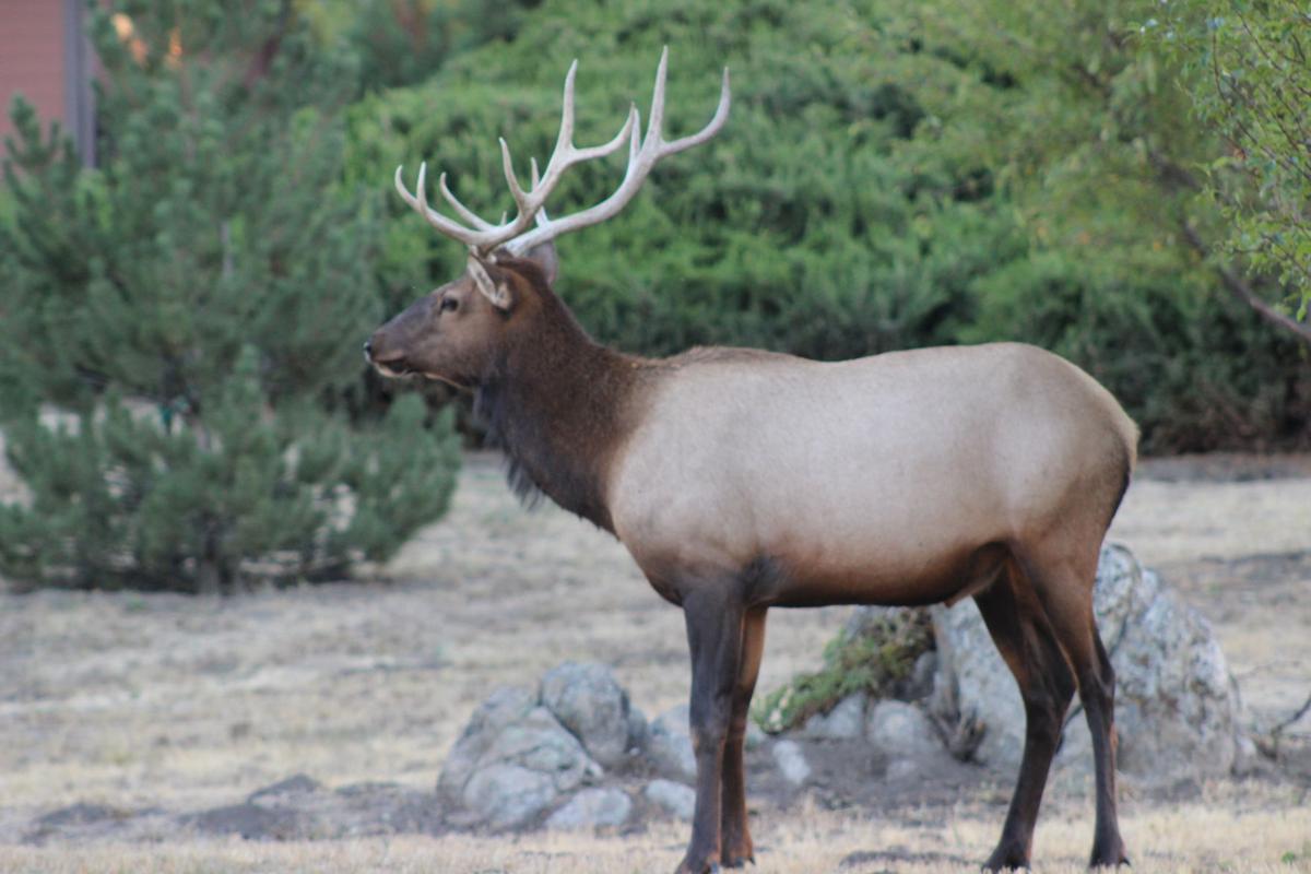 Visitor Guide: Tehachapi: A guide to our communities | Visitor-guide ...