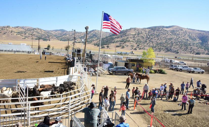 PHOTO GALLERY: Riding, roping and arithmetic | Sports | tehachapinews.com