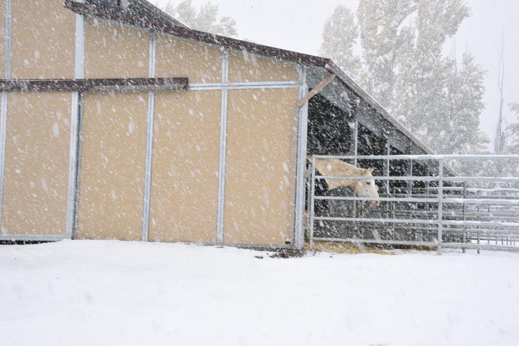 PHOTO GALLERY: Tehachapi sees first snow of season | News ...