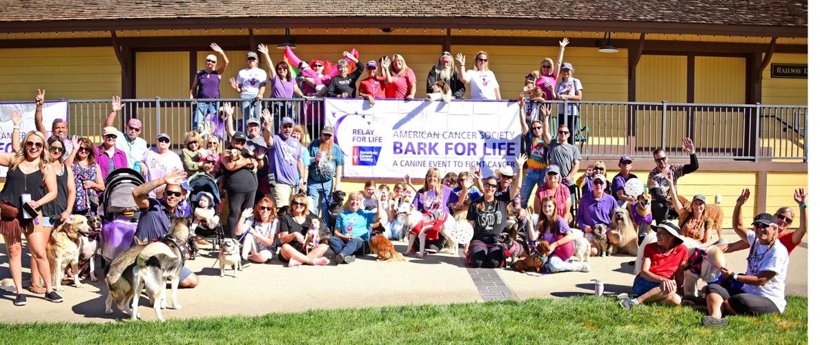 PHOTO GALLERY: Bark For Life: A canine event to help fight cancer ...