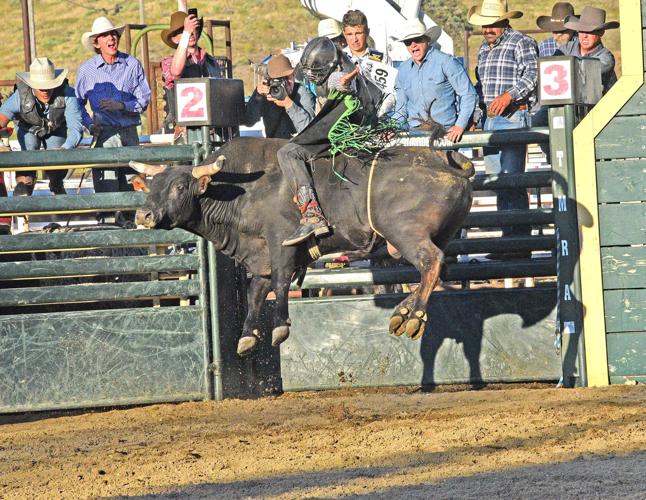 PHOTO GALLERY: Benz Bad Bulls take to the rodeo grounds for July 4th ...