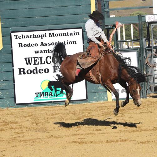 PHOTO GALLERY: Rodeo action keeps cowboys busy, fans happy | News ...