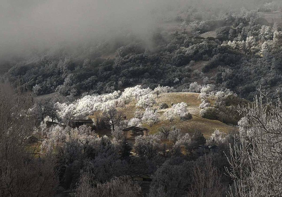 PHOTO GALLERY: A winter storm lingers in Tehachapi | News ...