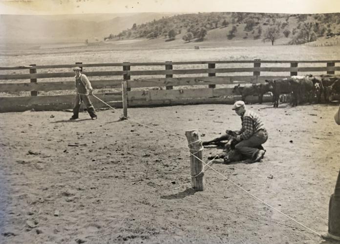 Pen in Hand: The past awakens: forgotten photos reveal Sprinkle Ranch ...