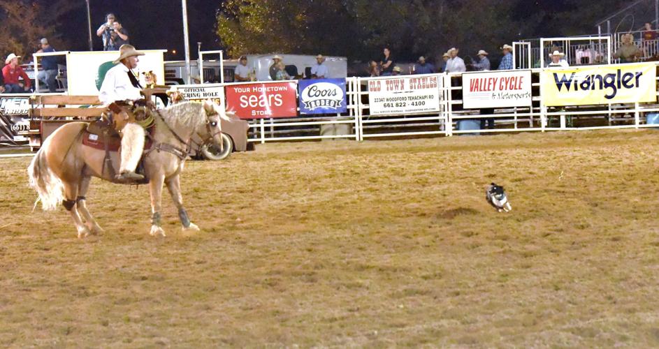 PHOTO GALLERY: Tehachapi Mountain Rodeo Association hosts two nights of ...