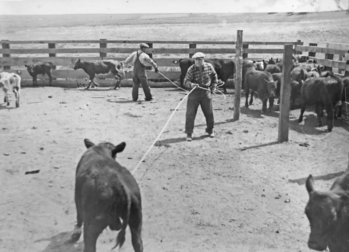 Pen in Hand: The past awakens: forgotten photos reveal Sprinkle Ranch ...