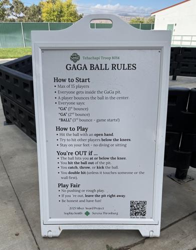 Gaga for Silver – Girl Scout Silver Award Project | Lifestyle ...