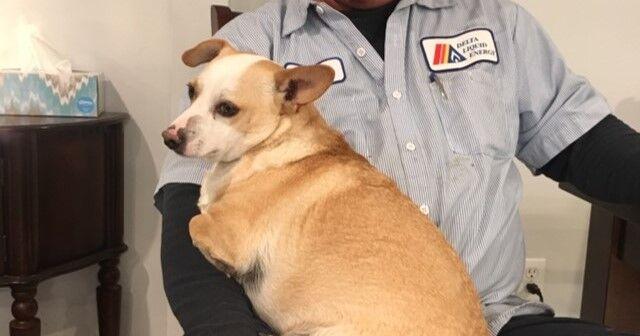 Don Donelson, 1967–2022 | Obituaries | tehachapinews.com