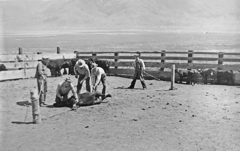 Pen in Hand: The past awakens: forgotten photos reveal Sprinkle Ranch ...
