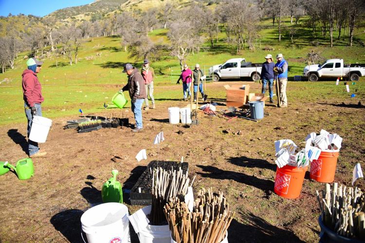 Nature Conservancy volunteers plant native trees | News | tehachapinews.com