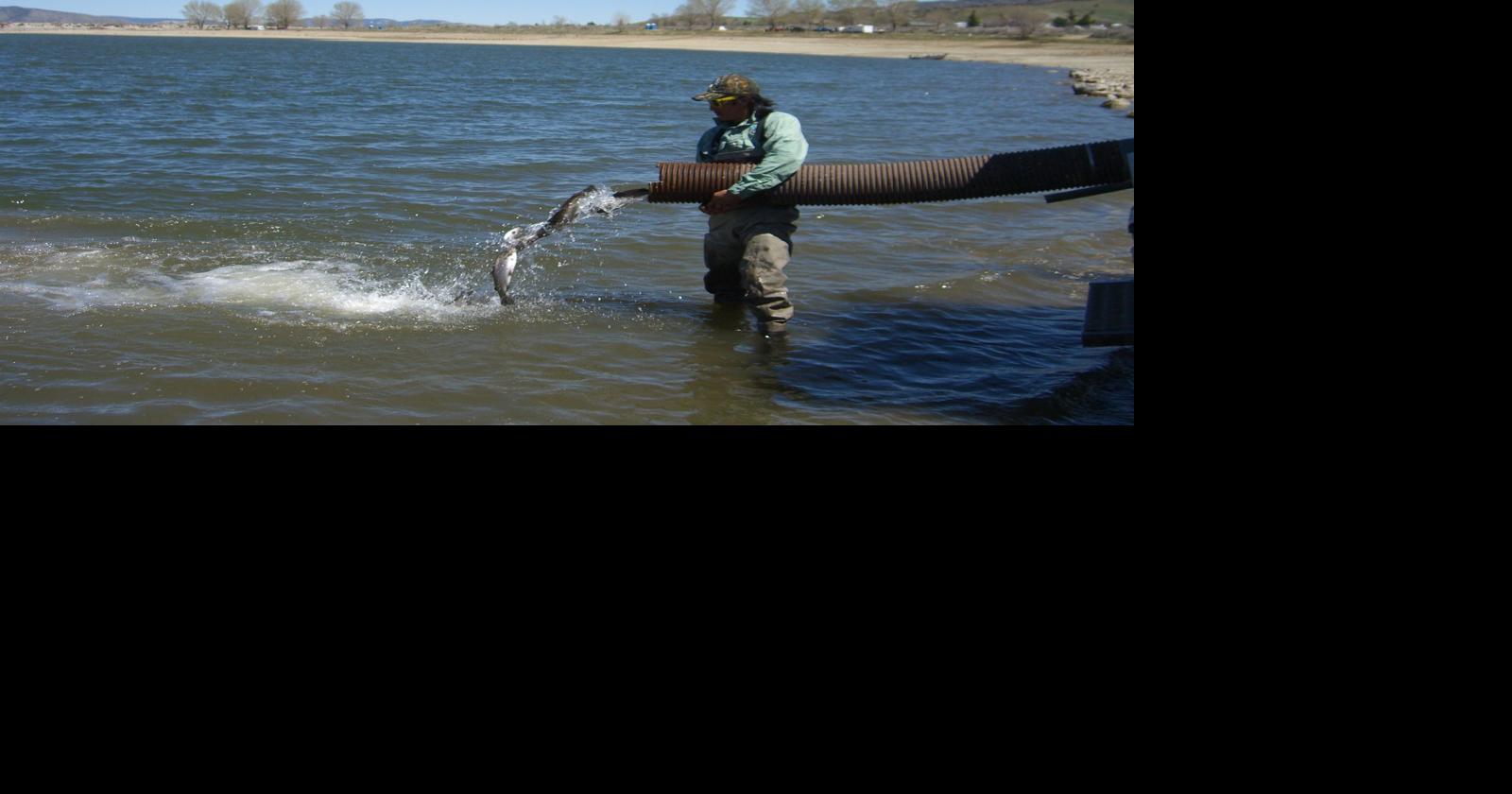 Parks and Rec gears up for Holiday season and Brite Lake fishing ...