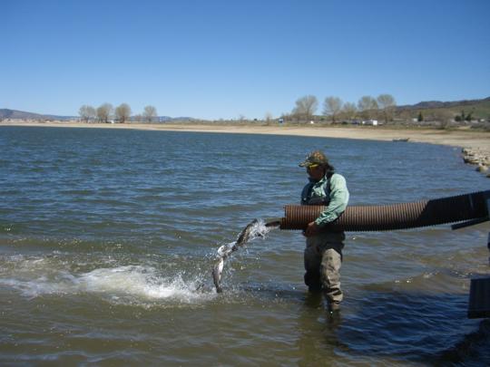 Parks and Rec gears up for Holiday season and Brite Lake fishing ...