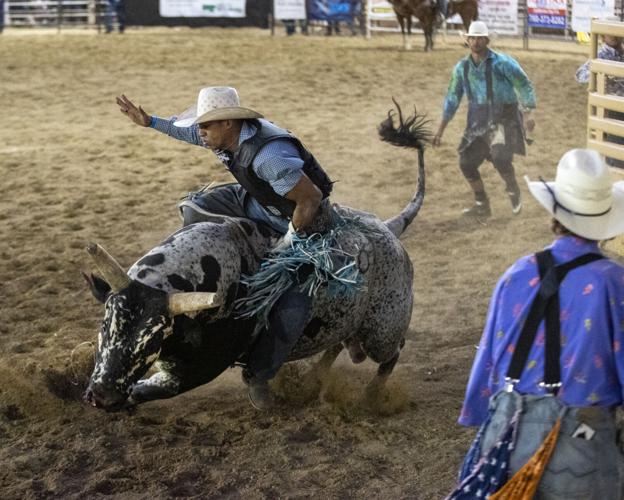 PHOTO GALLERY: Benz Bad Bulls rodeo attracts sellout crowd | Lifestyle ...