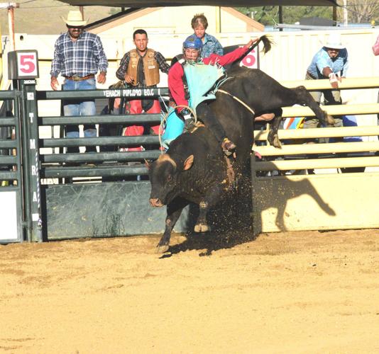 PHOTO GALLERY: Benz Bad Bulls take to the rodeo grounds for July 4th ...
