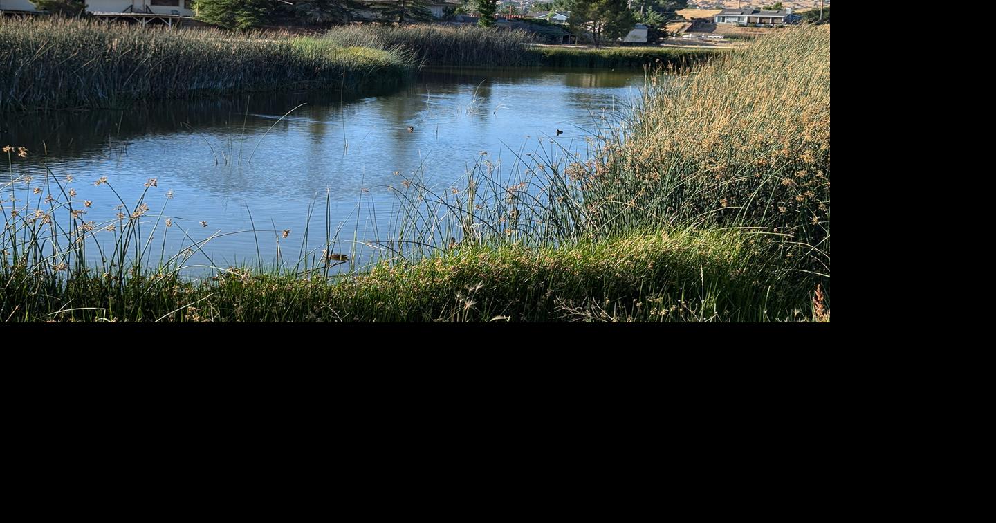 Visitor Guide: Take a hike! | Visitor-guide | tehachapinews.com