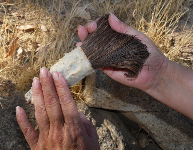 Pen in Hand: Soaproot brushes: local residents learn how to make a ...