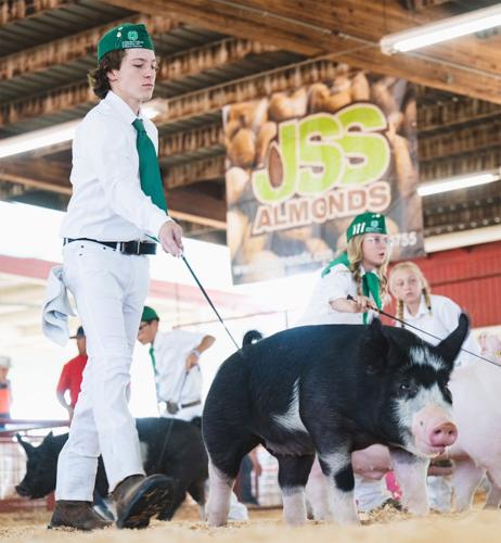 4 Seasons 4-H Club members showed projects at Kern County Fair ...