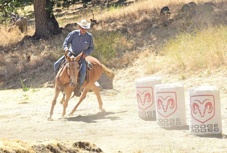 PHOTO GALLERY: Bear Valley Springs Buckaroos host annual Summer Showdown Equestrian event ...