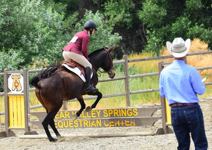 PHOTO GALLERY: Mules, horses — and their people — show their skills ...