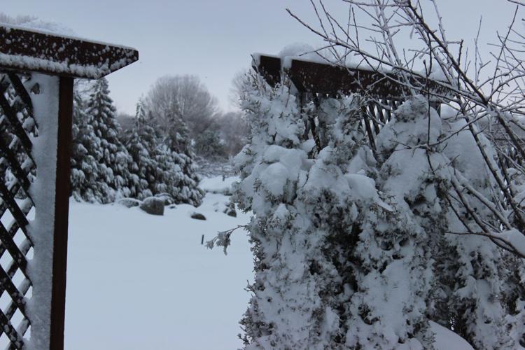 The snow is back in greater Tehachapi | News | tehachapinews.com