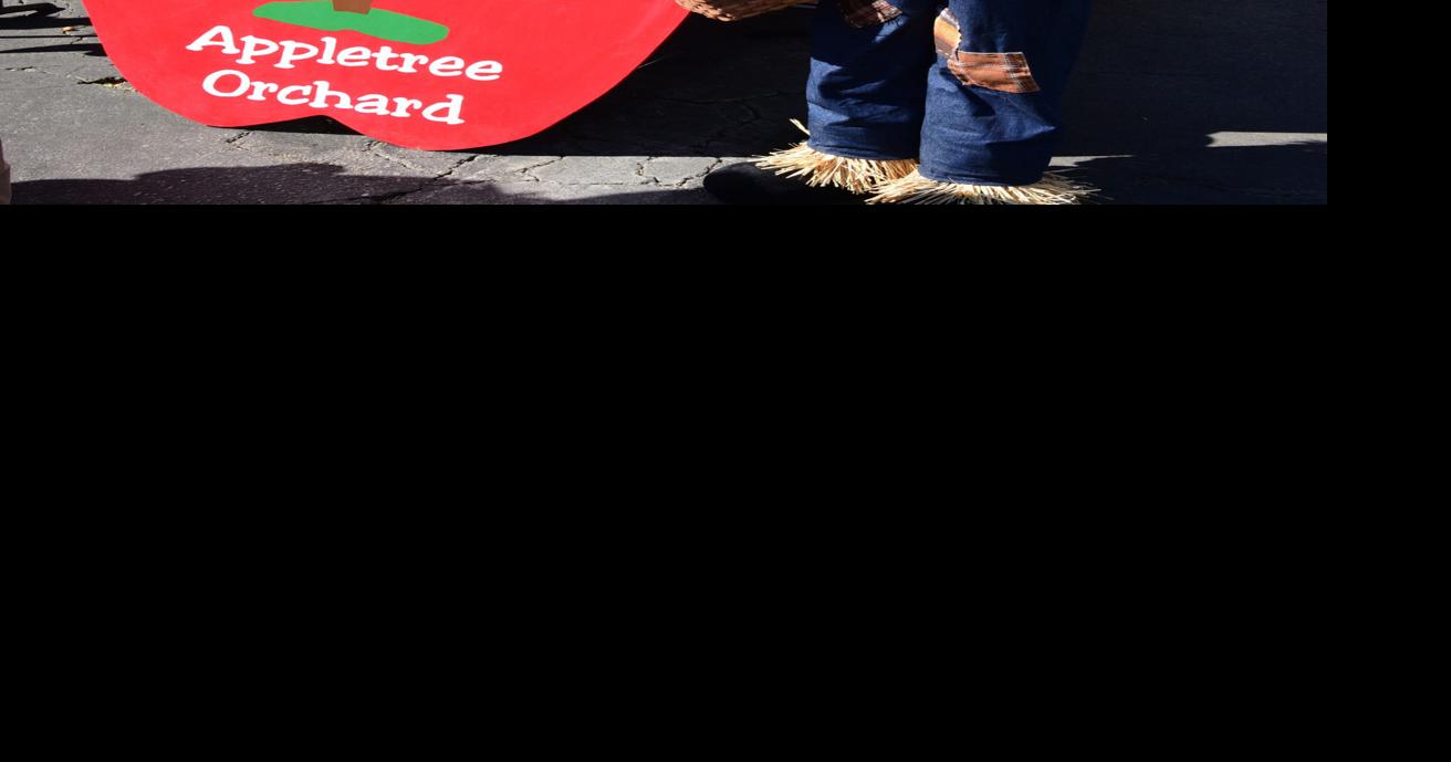 Mountain, Apple festivals team up to make carnival happen | News ...