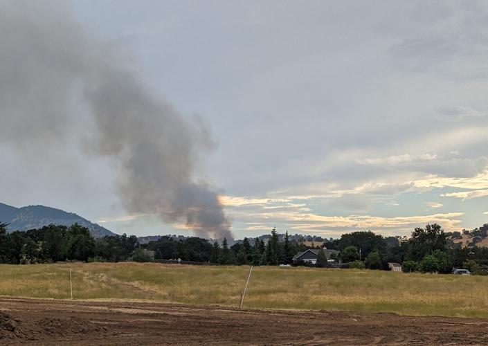 Brite Valley fire knocked down quickly | News | tehachapinews.com