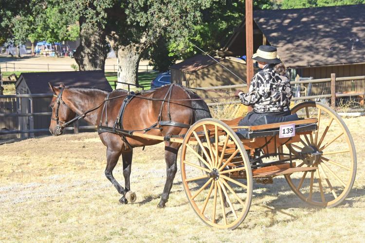 PHOTO GALLERY: Bear Valley Springs Buckaroos host annual Summer ...