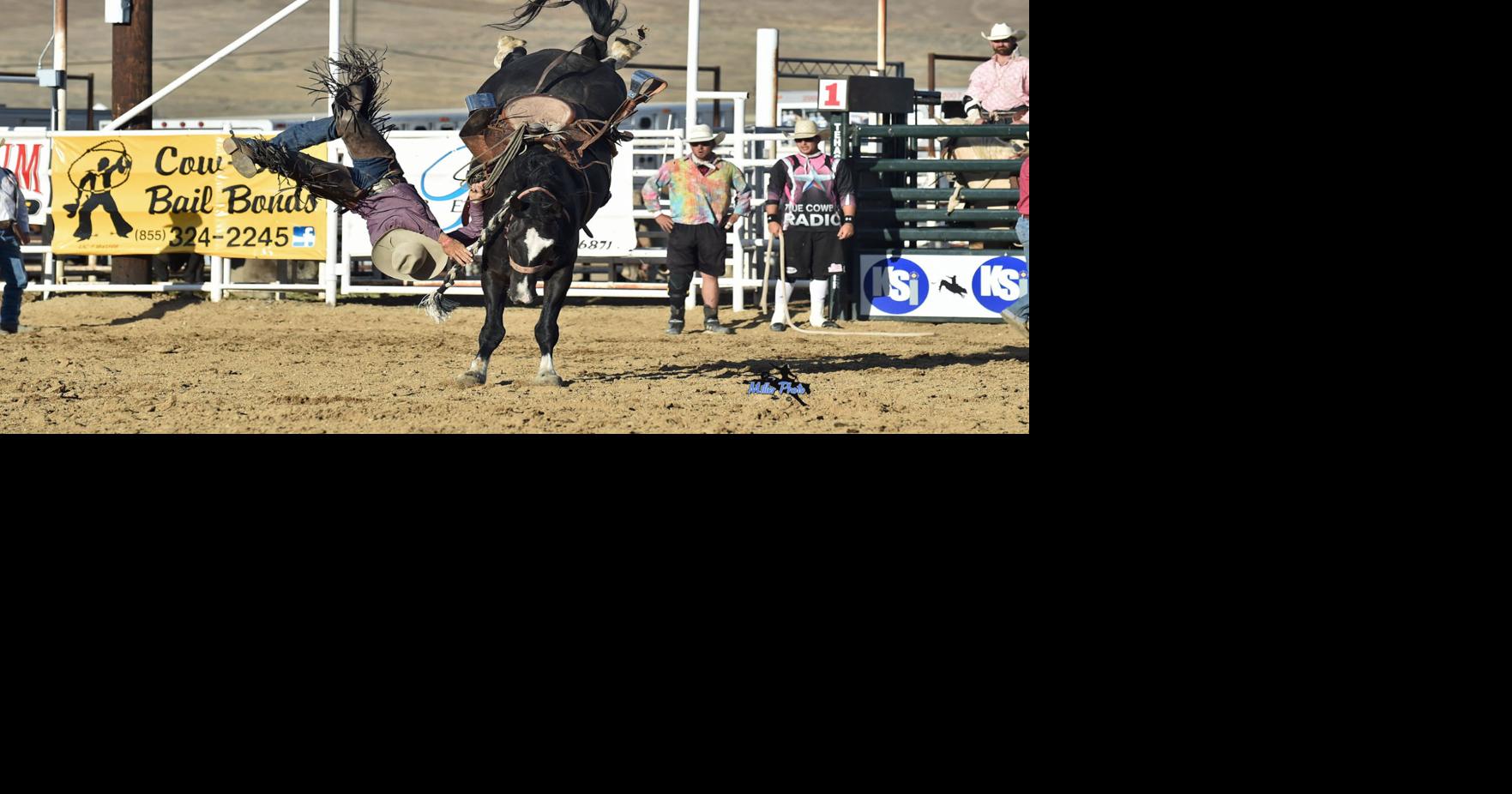 53rd Annual Tehachapi Mountain Festival: Tehachapi Mountain Rodeo ...