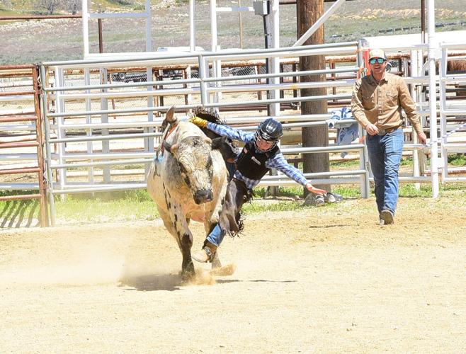 PHOTO GALLERY: Young and old learn 'how to rodeo' | Sports ...