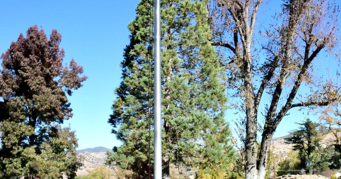 Sign up now for Tehachapi Veterans Day Parade | Lifestyle ...