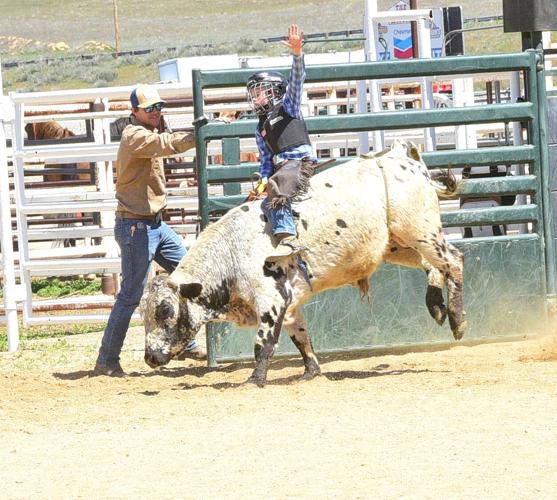 PHOTO GALLERY: Young and old learn 'how to rodeo' | Sports ...