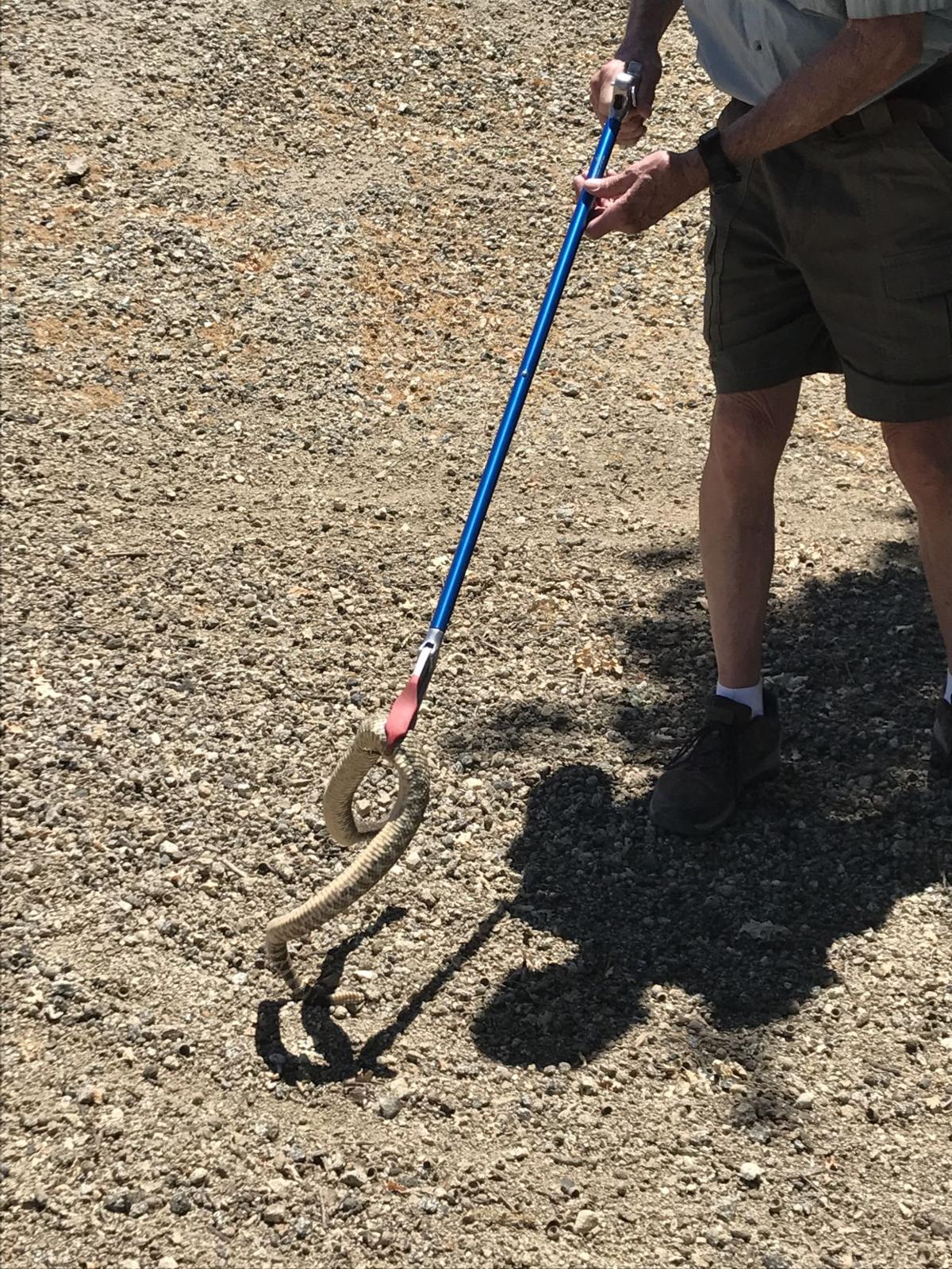 Snakes are out, and so are The Snake Guys | News | tehachapinews.com